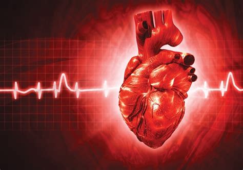 ბიოლოგია Biology პერიფერიული ცილები მემბრანის ზედაპირთან არიან დაკავშირებული და მხოლოდ