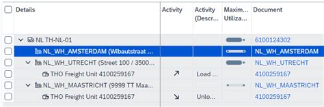 Empty Leg Optimization Using Tm Optimizer Sap Community