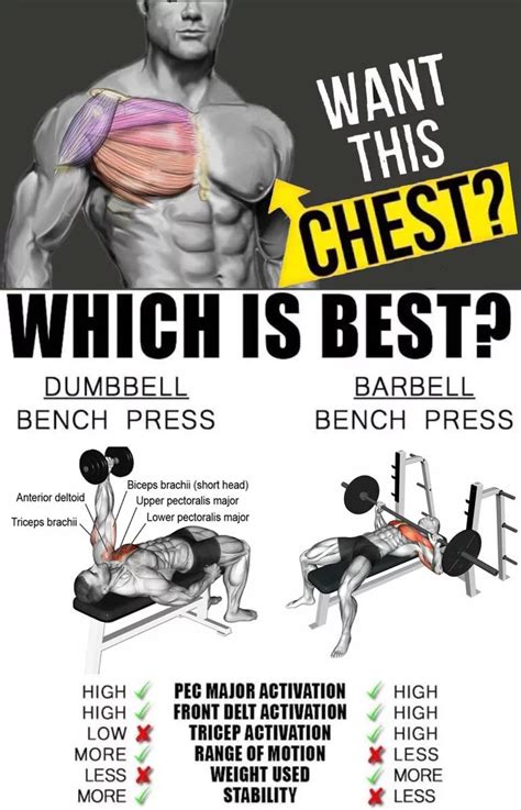 How To Do Barbell Press Vs Dumbbell Press Rgymguide