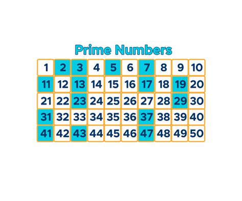 Prime Numbers Factorization And Factor Tree Curvebreakers