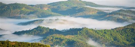 Excursions The Hills Rehab Thailand