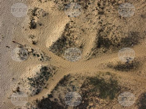 Министър Юлиян Попов одобри методиката за картографиране и определяне на границите и вида на