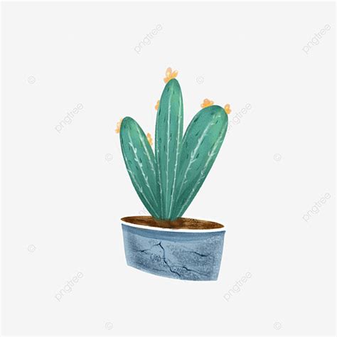 نباتات الأصص خضرة نبات نباتات الأصص Png صورة للتحميل مجانا