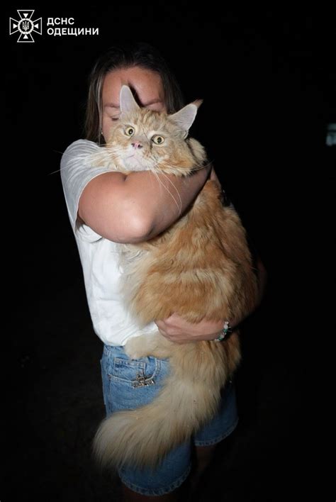 Наслідки масованої атаки по Одесі зруйновано 9 поверхівку є постраждалі Арміяinform