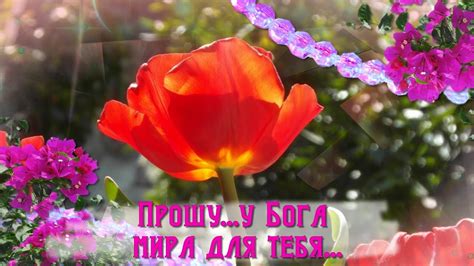 Прошу у Бога счастья для тебя Youtube