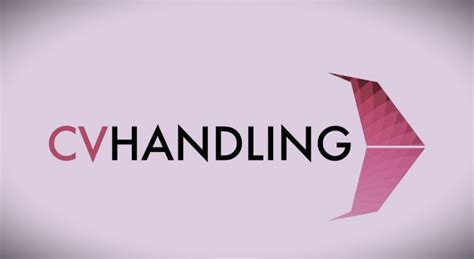 Cabo Verde Governo Lança Privatização Da Cv Handling Rtp África