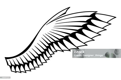 날개 스케치 양식화 된 새 날개 열린 위치에 손으로 그린 윤곽이 있는 스티커 날개 채색 스타일의 벡터 디자인 요소 검은색에 대한 스톡 벡터 아트 및 기타 이미지 Istock