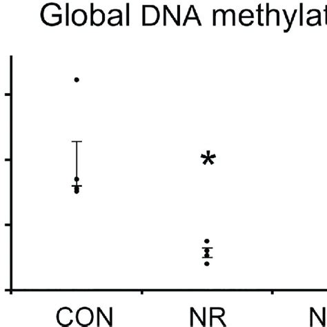 Effect Of Maternal Nutrient Restriction With Or Without Folic Acid Download Scientific Diagram
