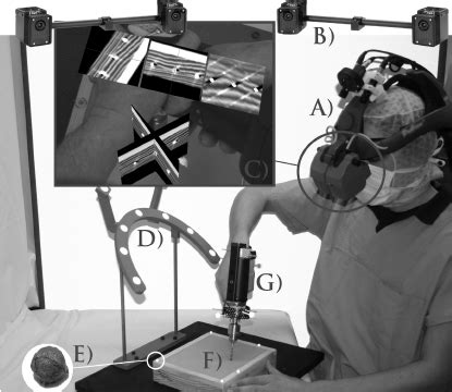 Illustration Of The Setup For The Hybrid Navigation Interface A The Download Scientific