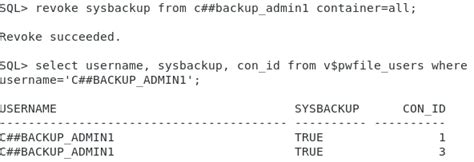 Oracle Database Common User In Multitenant Datenbanken Für Backup Und Recovery Teil 2
