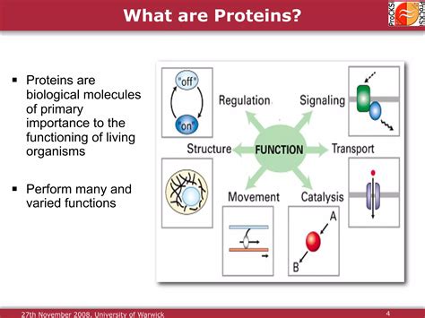 Protein Structure Alignment And Comparison Pdf Chemistry Science