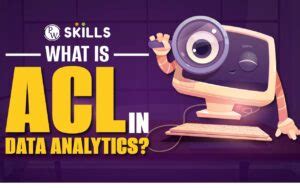 What Is ACL In Data Analytics Types Components Roles Benefits