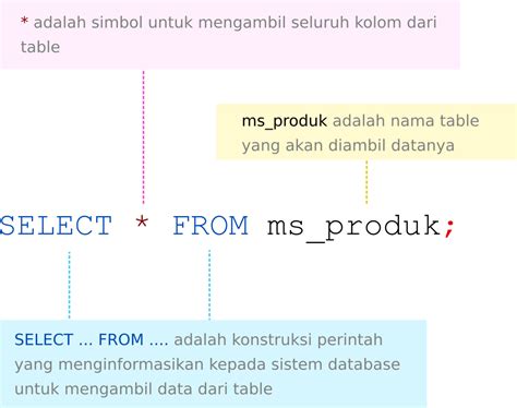 Statement Select Sql Untuk Portfolio Data Analyst