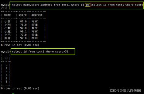 Mysql 之进阶查询语句update Test4 Set Csdn博客