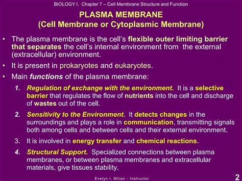 Cell Membrane Structure And Function Animation