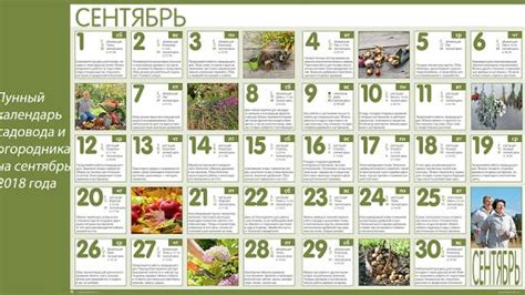 Лунный посевной календарь на август 2018 год