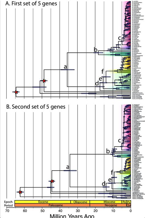 Comparison Of Dated Trees Estimated From Two Different Sets Of 5 Genes