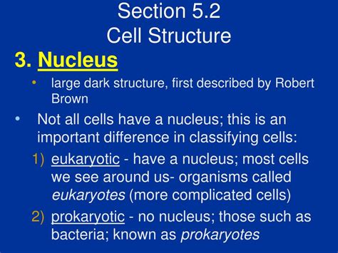 PPT Biology Chapter Cell Structure And Function PowerPoint Presentation ID