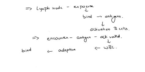 Solved A What Cell Type S Populate S The Subcapsular Space B Discuss The Role S They Play