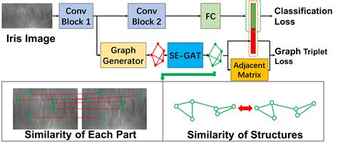 Github Renmin1991dyamic Graph Representation Official Dynamic Graph