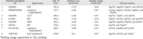 docking properties of the small molecule inhibitors at the predicted