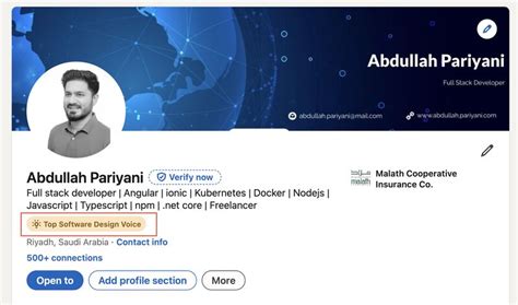 abdullah pariyani on linkedin softwaredesign programming linkedinbadges