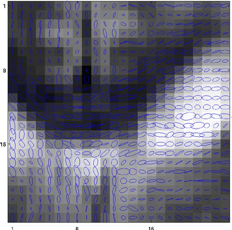 Original Tensor Field Generated From Dt Mri Data Download Scientific