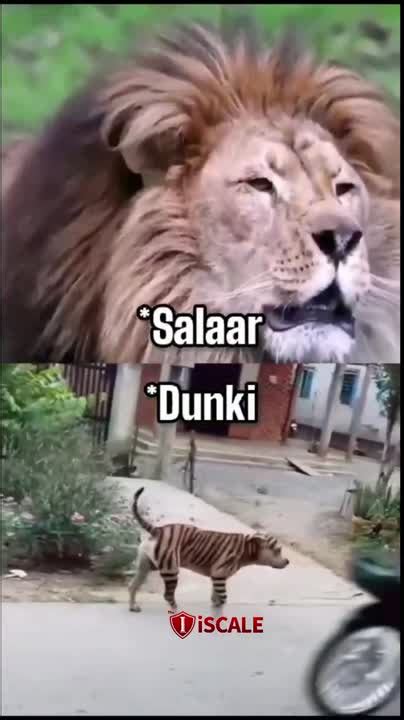 [video] the iscale on linkedin pythonlists pythontuples datastructures mutablevsimmutable…