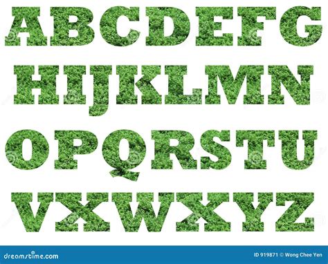 Grass Alphabet Capital Letters Stock Illustration Illustration Of