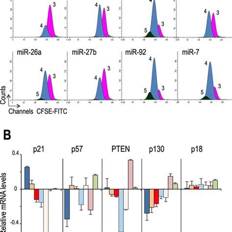 E2f1 E2f2 E2f3 And E2f7 Bind To C Myc Promoter And Regulate Its