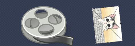 Rotate GIF In 5 Proven And Effective Methods In 2020 Solved