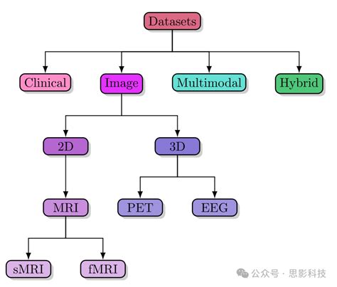 基于深度学习的阿兹海默诊断（上）深度学习 数据挖掘 阿尔兹海默症 Csdn博客