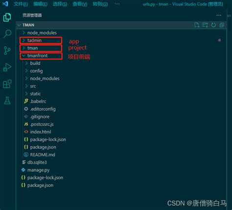 超详细djangovuevscode前后端分离搭建vue Django Csdn博客