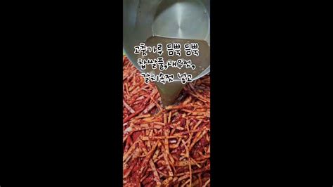 김장김치절임배추40kg양념 Youtube