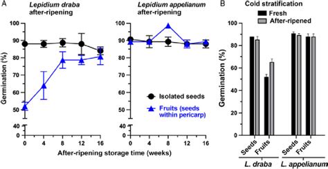 The Effect Of Afterripening And Cold Stratification On The Germination