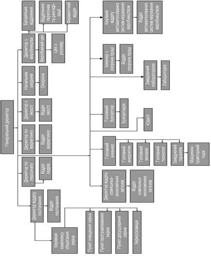 Характеристика підприємства Організаційна структура підприємства Проектування елементів