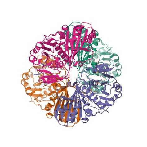 Rcsb Pdb 1ihx Crystal Structure Of Two D Glyceraldehyde 3 Phosphate