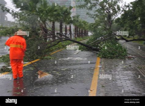 A Chinese Worker Removes Tree Branches Broken By Strong Wind Caused By Typhoon Talas On A Road