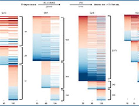The Curated Cancer Cell Atlas A Comprehensive Pan Cancer Single Cell Rna Sequencing Dataset