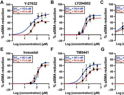 Determining Sex Differences In Aortic Valve Myofibroblast Responses To