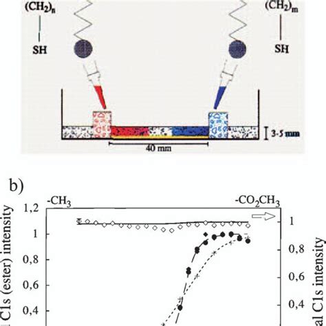 A Schematic Diagram Of The Cross Diffusion Geometry Used For The Download Scientific Diagram