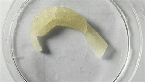 3d Printed Silk Bio Ink Shows Potential For Knee Meniscus Repair 3dnatives