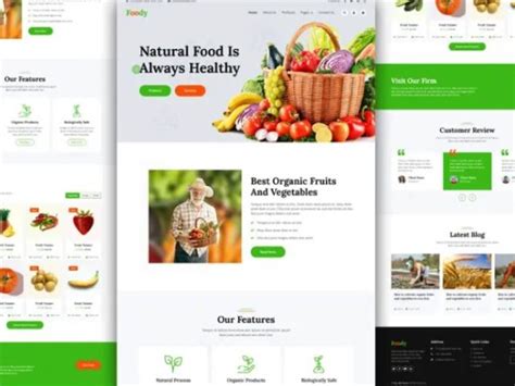 20 Grocery Store Html Css Website Templates Free Download