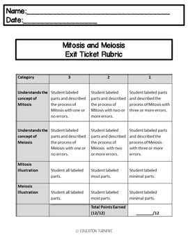 Mitosis And Meiosis Exit Ticket By Education Turnpike TPT
