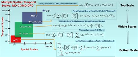 Figure 1 From A Predictive Multiscale Model For Simulating Flow Induced