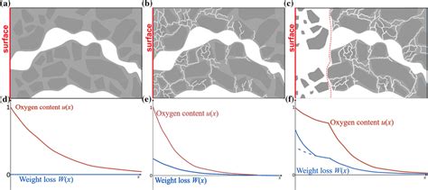A Model Depicting The Evolution Of Microstructures And The Profiles Of Download Scientific