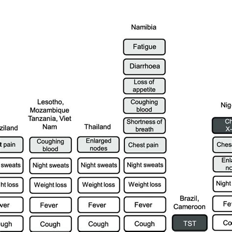 TB Screening And Diagnosis Algorithm For TB Exclusion Before IPT Download Scientific Diagram