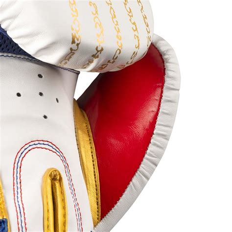 ᐉ Перчатки боксерские Phantom Muay Thai Limited Edition 10 унций с ...