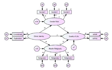 Sem Results With Standardized Coefficients Included N 351