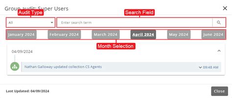 Using The Audit Interface
